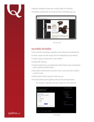 Qualtrics Introduction Presentation | PDF