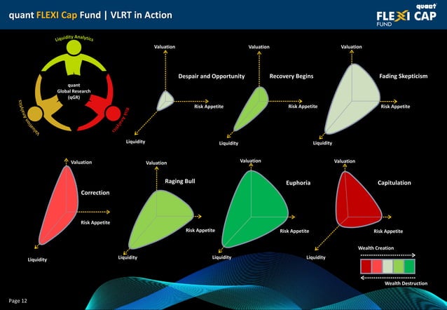 Quant Flexi Cap fund | PDF