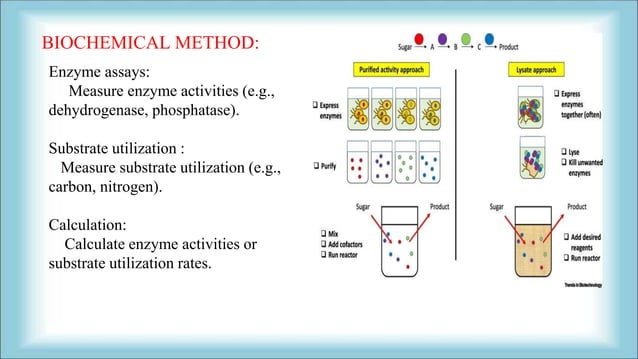 quantification of soil microbes-1-1.pptx