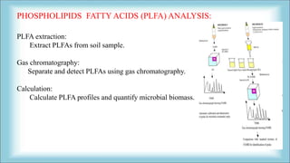 quantification of soil microbes-1-1.pptx