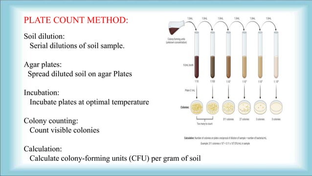 quantification of soil microbes-1-1.pptx
