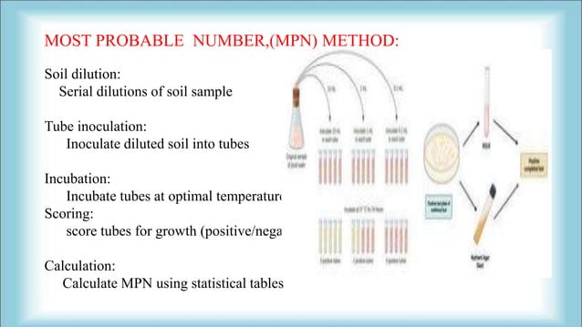 quantification of soil microbes-1-1.pptx