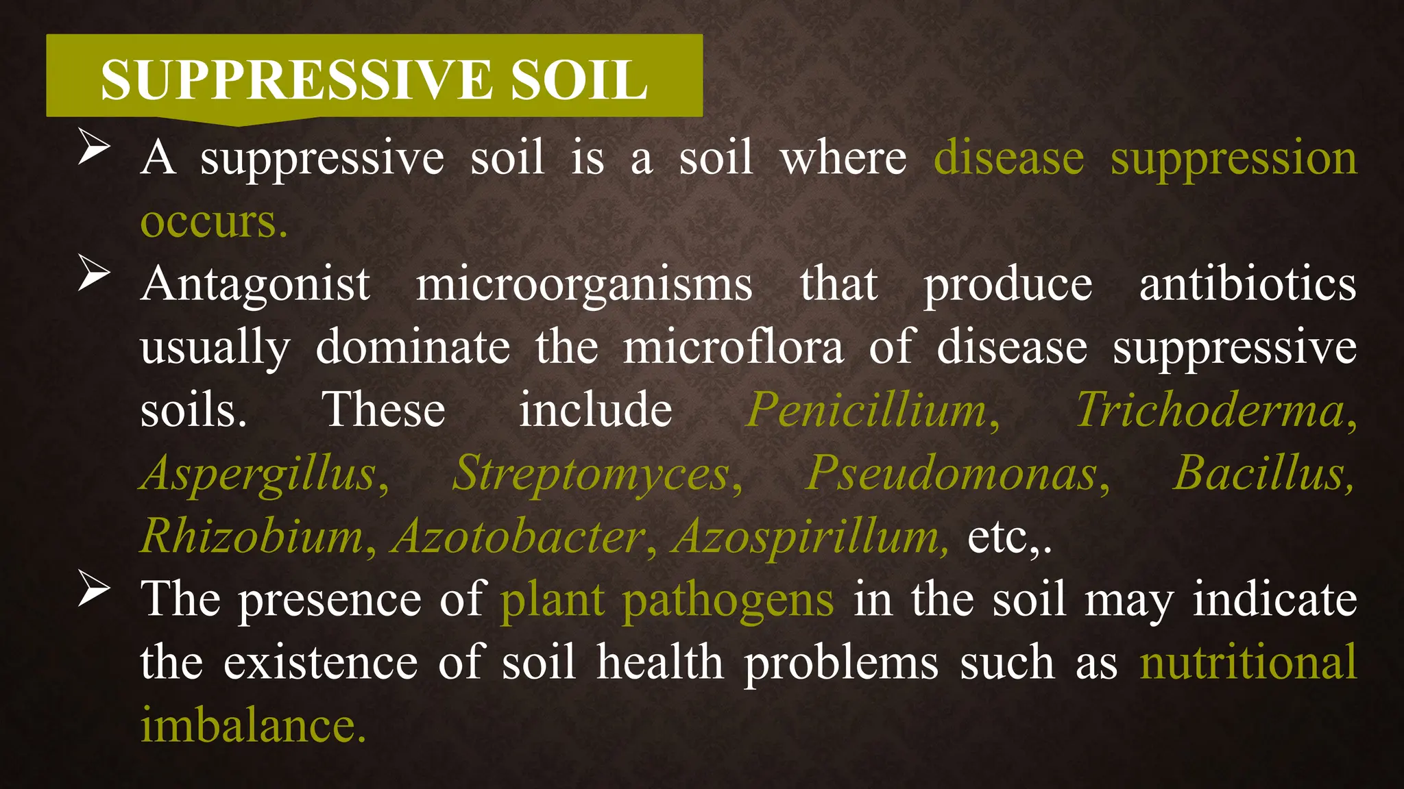 QUANTIFICATION OF SOIL MICROFLORA/ ENVIRONMENTAL MICROBIOLOGY | PPTX