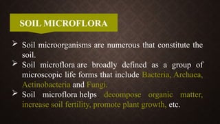 QUANTIFICATION OF SOIL MICROFLORA/ ENVIRONMENTAL MICROBIOLOGY | PPTX