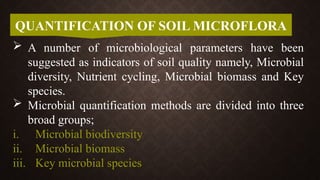 QUANTIFICATION OF SOIL MICROFLORA/ ENVIRONMENTAL MICROBIOLOGY | PPTX