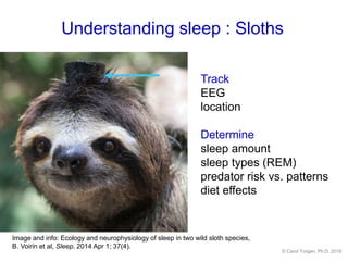 Quantified Earth: Animal Wearable Tech | PPT