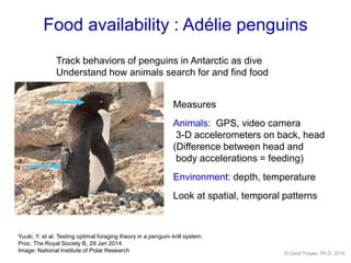 Quantified Earth: Animal Wearable Tech | PPT