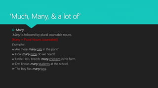 Quantifier grade 9 | PPTX