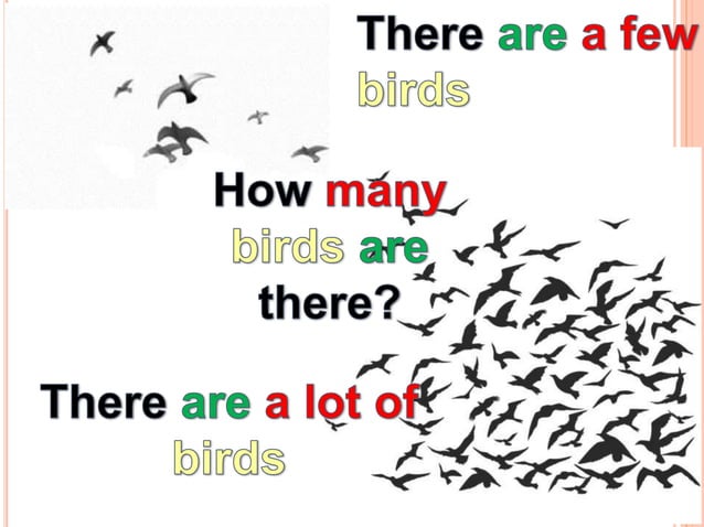 Quantifiers presentation for common core.pptx