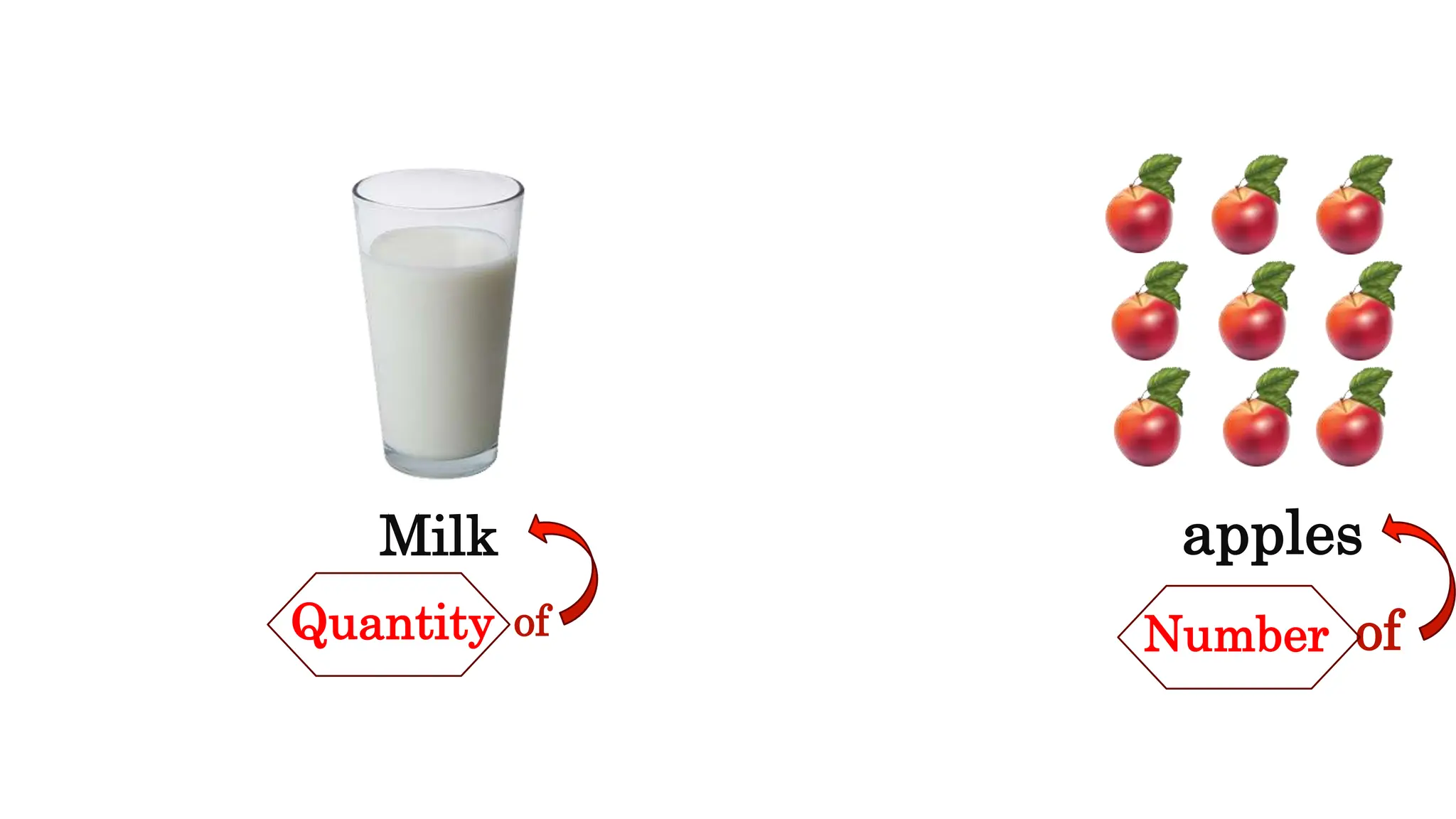 QUANTIFIERS lesson for beginners and intermediate.pptx | Food & Drink