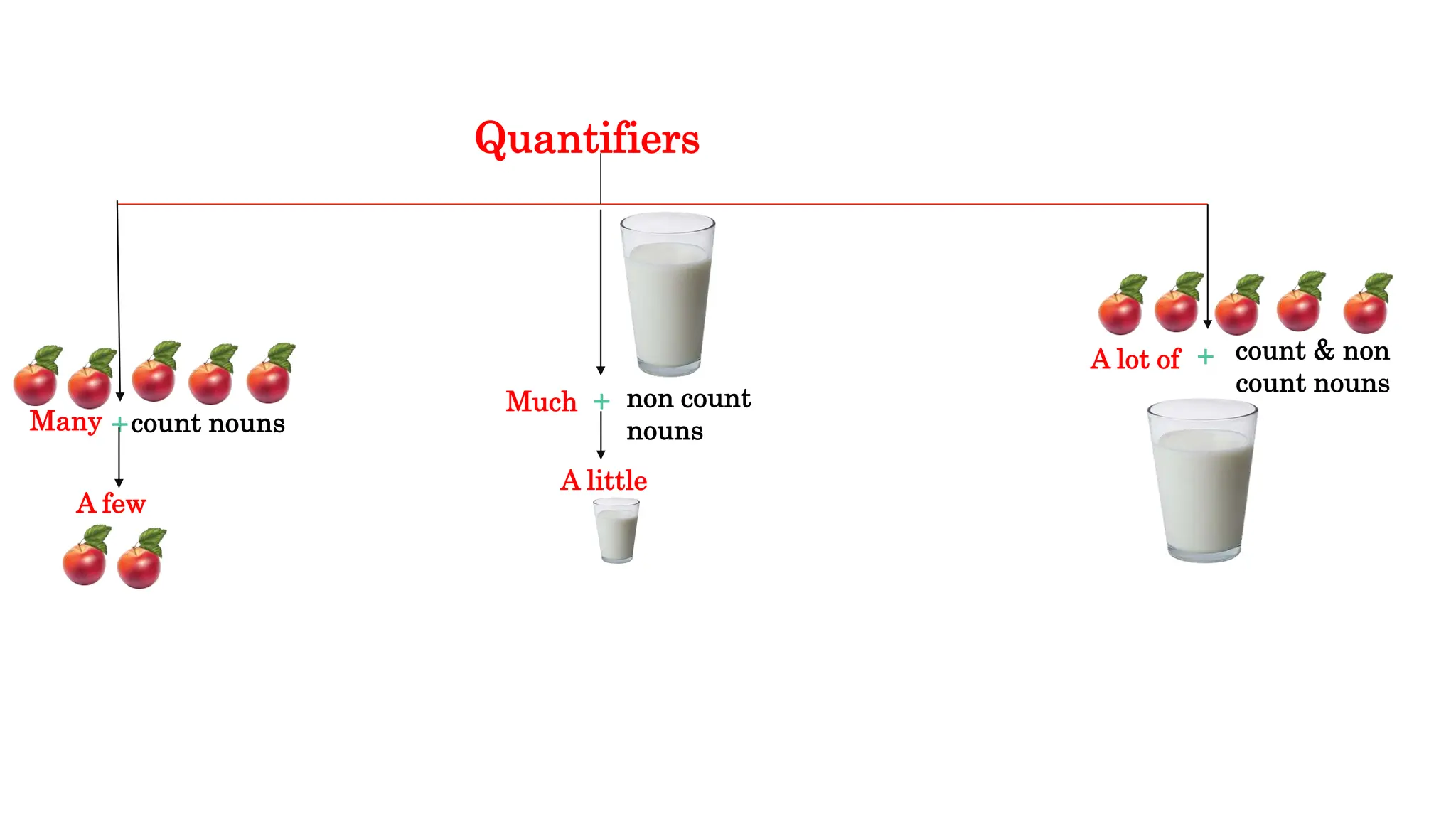QUANTIFIERS lesson for beginners and intermediate.pptx | Food & Drink