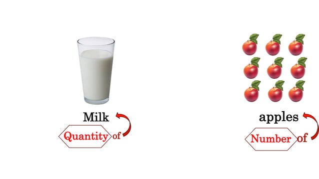 QUANTIFIERS lesson for beginners and intermediate.pptx | Food & Drink