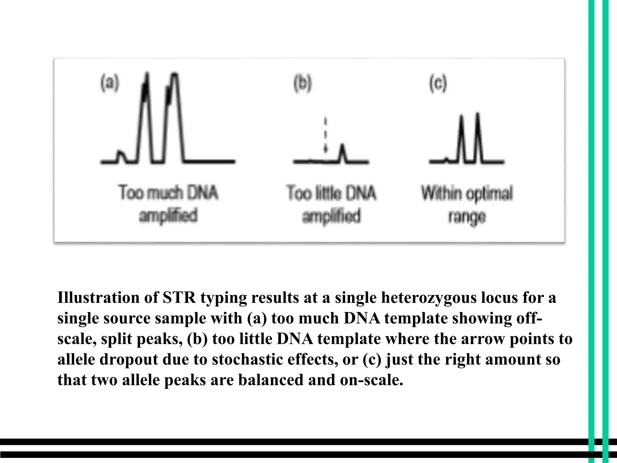 Quantitation of DNA | PPTX