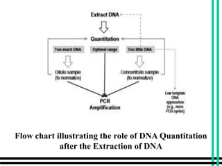 Quantitation of DNA | PPTX