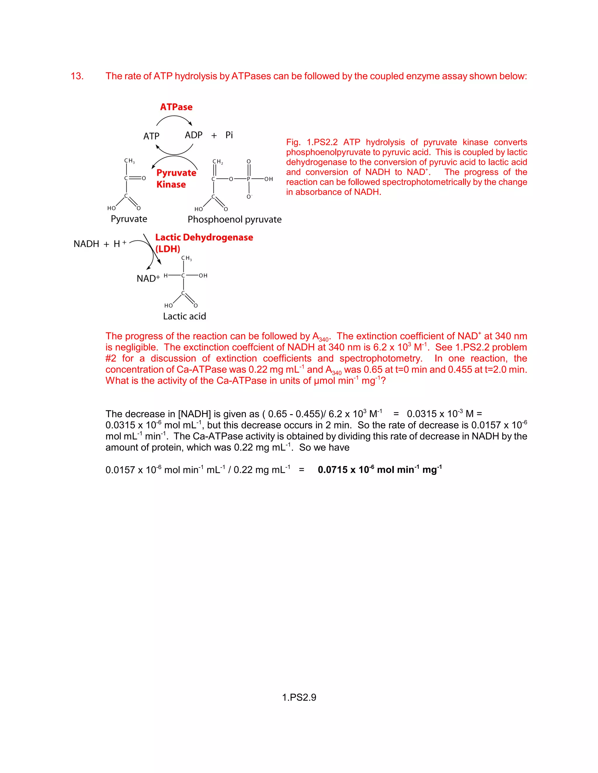 Quantitative Human Physiology 2nd Edition Feher Solutions Manual | PDF