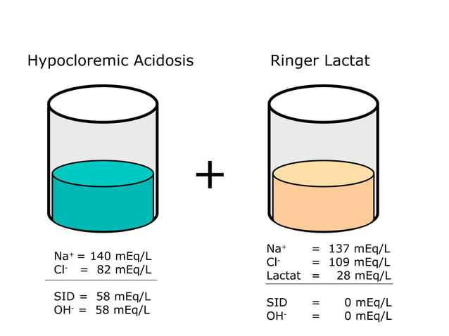 Quantitative Acid Base Analysis Fencl Stewart Approach | PPT