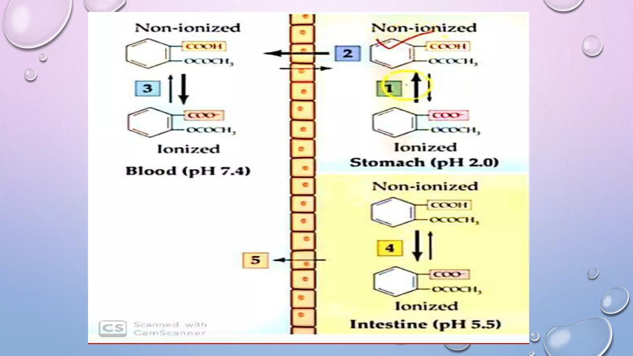 Quantitative approach to the to the factor influcing solubility of drug ...