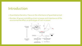 Quantitative genetics | PDF