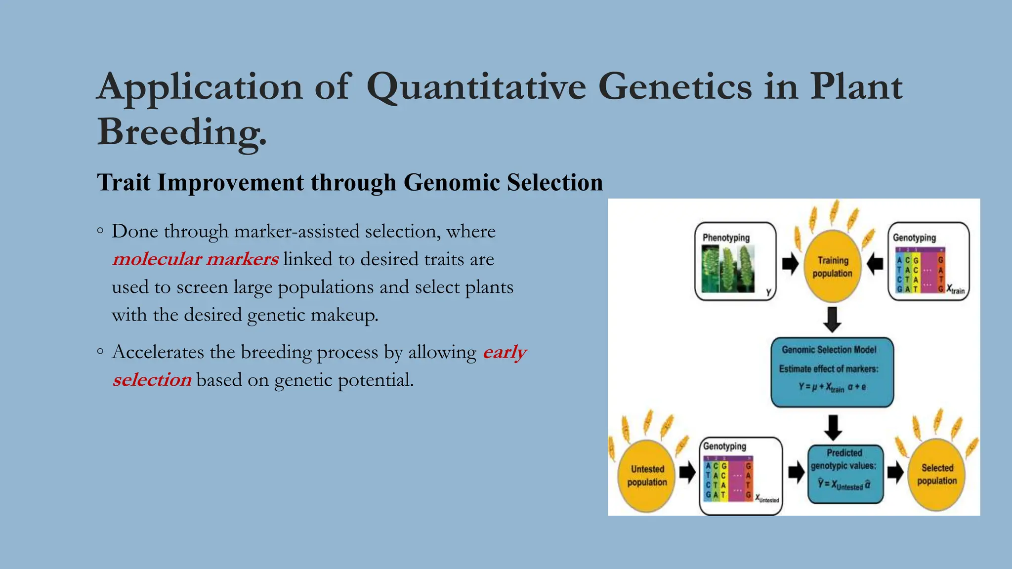 Quantitative Genetics And its Applications.pptx