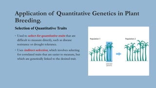 Quantitative Genetics And its Applications.pptx