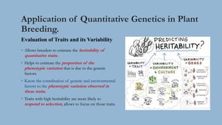 Quantitative Genetics And its Applications.pptx