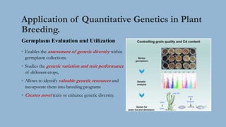 Quantitative Genetics And its Applications.pptx