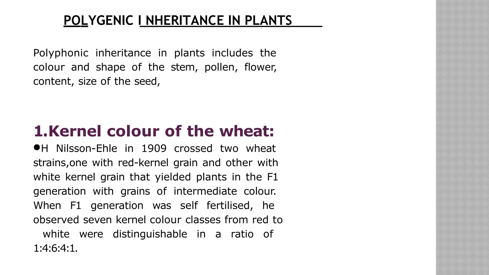 Quantitative Genetics: Decoding the Complexity of Traits | PPTX