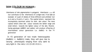 Quantitative Genetics: Decoding the Complexity of Traits | PPT