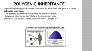 Quantitative Genetics: Decoding the Complexity of Traits | PPT