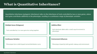 Understanding Quantitative Inheritance: Polygenic Traits and Classic ...