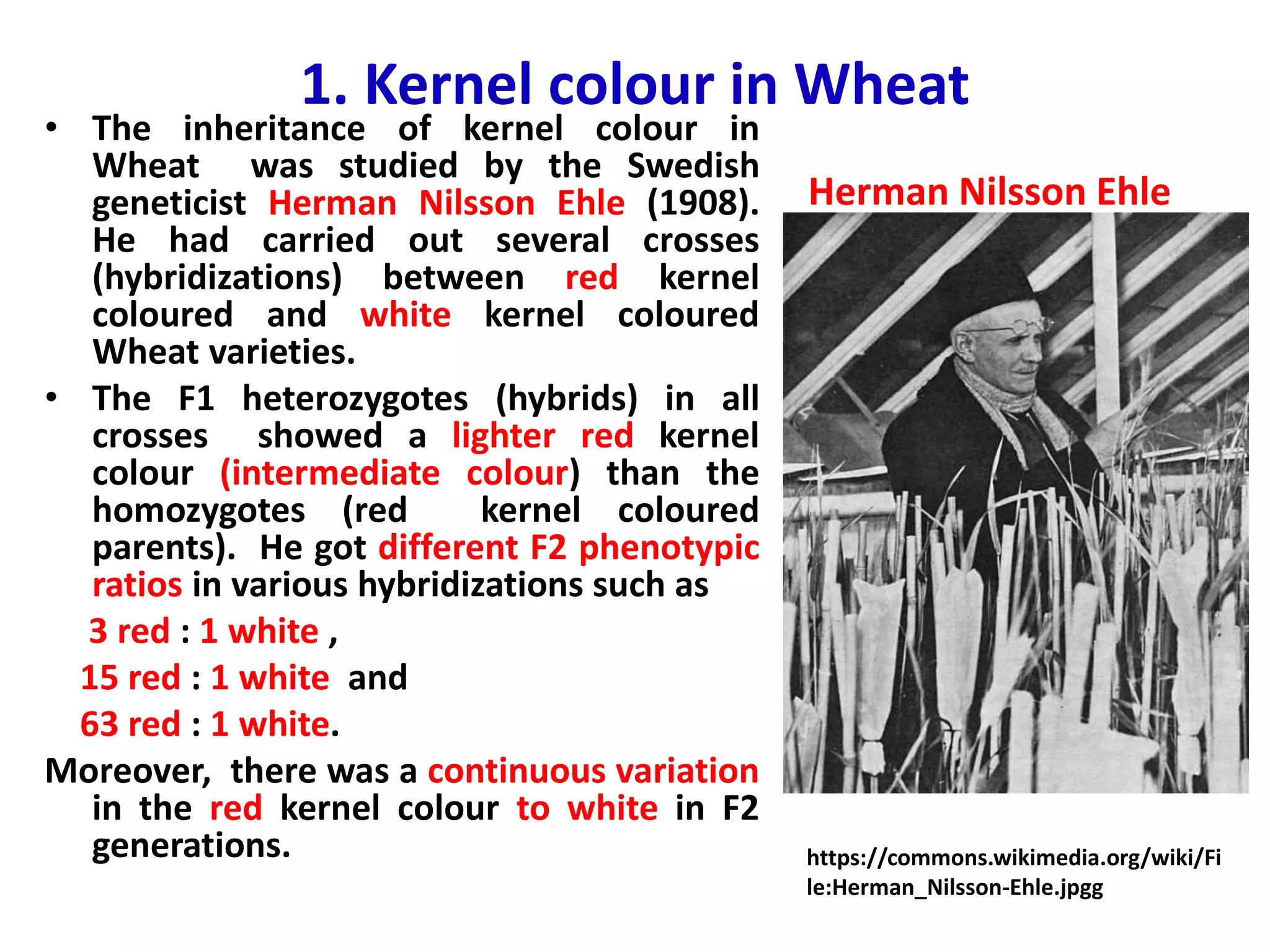QUANTITATIVE INHERITANCE SMG | PPTX