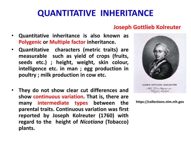 Quantitative Inheritance Smg Ppt