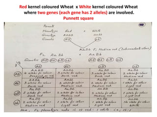 QUANTITATIVE INHERITANCE SMG | PPTX