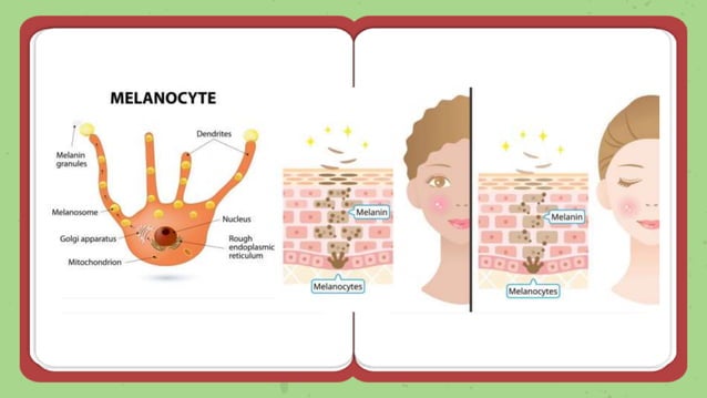 Quantitative Inheritance.pptx