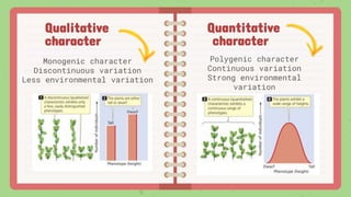 Quantitative Inheritance.pptx