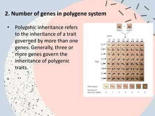 QUANTITATIVE INHERITANCE .ppt.pptx