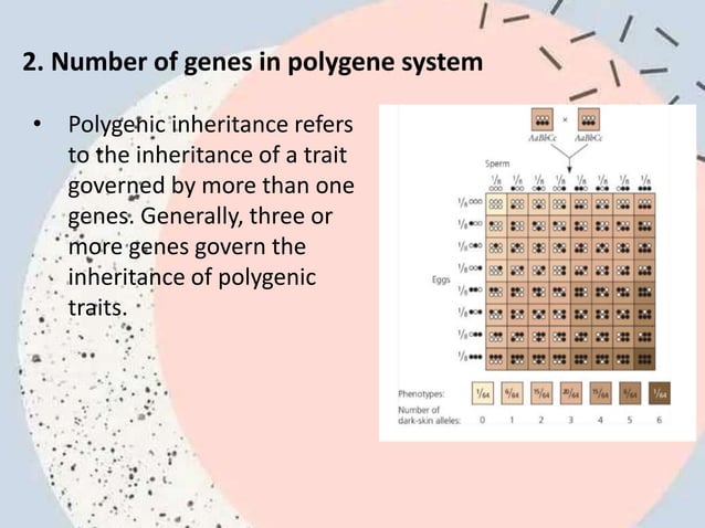 QUANTITATIVE INHERITANCE .ppt.pptx | Genetics | Science