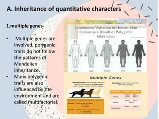 QUANTITATIVE INHERITANCE- .pptx