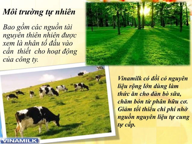 Hoạch định chiến lược kinh doanh của Công ty Cổ phần Sữa Việt Nam Vinamilk | PPTX