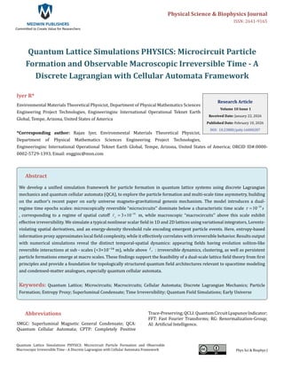 Quantum Lattice Simulations PHYSICS: Microcircuit Particle Formation ...
