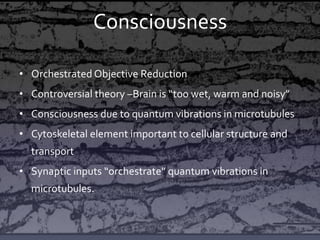 Quantum biology | PPTX
