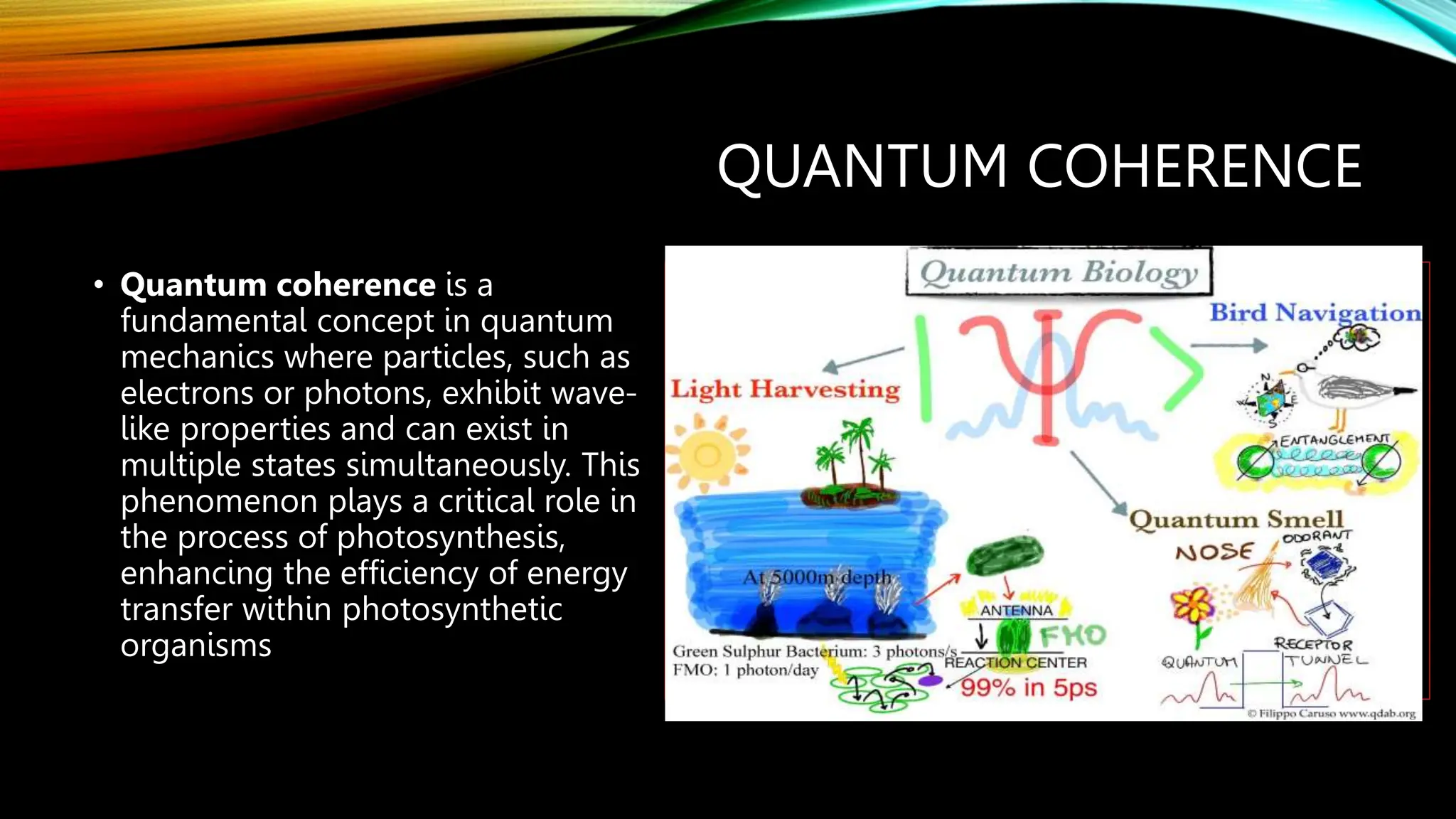 Quantum Biology.Quantaum Coherence,Quantum Tunneling,Quantum Entenglement | PPTX
