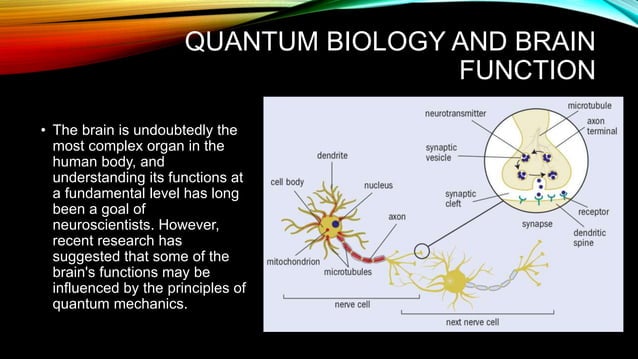 Quantum Biology.Quantaum Coherence,Quantum Tunneling,Quantum ...