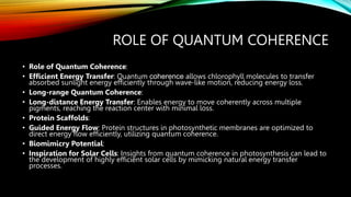 Quantum Biology.Quantaum Coherence,Quantum Tunneling,Quantum Entenglement | PPTX | Chemistry ...
