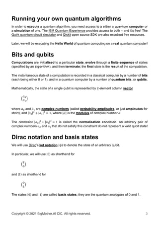 Quantum Computing 101, Part 1 - Hello Quantum World | PDF