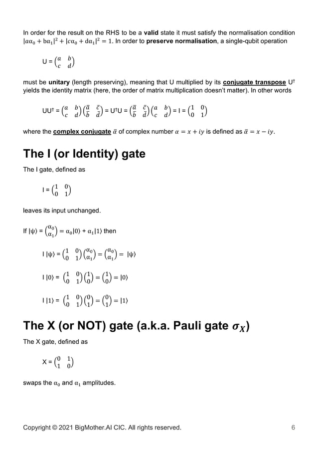 Quantum Computing 101, Part 1 - Hello Quantum World | PDF
