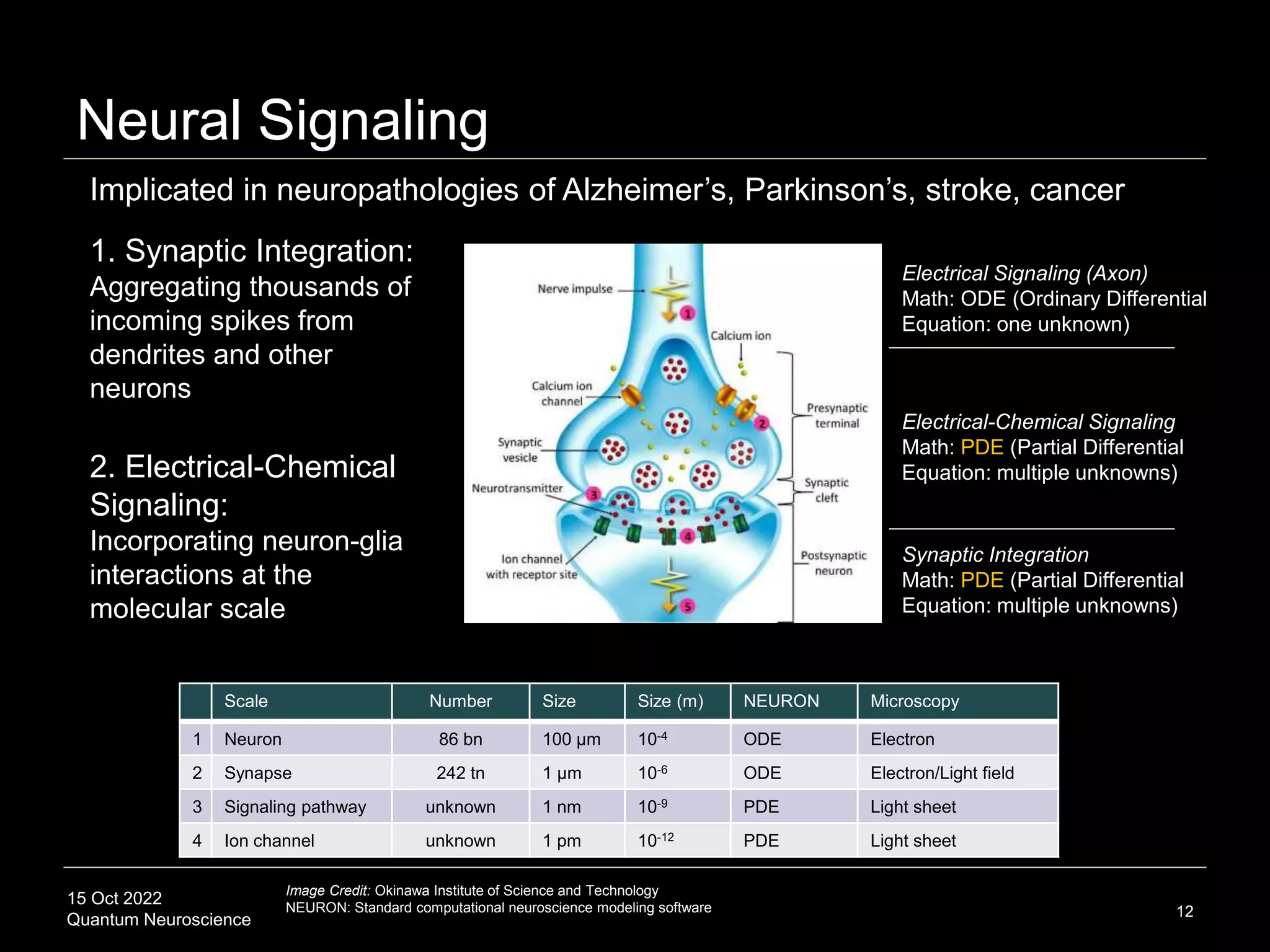 Quantum Information Science and Quantum Neuroscience.ppt