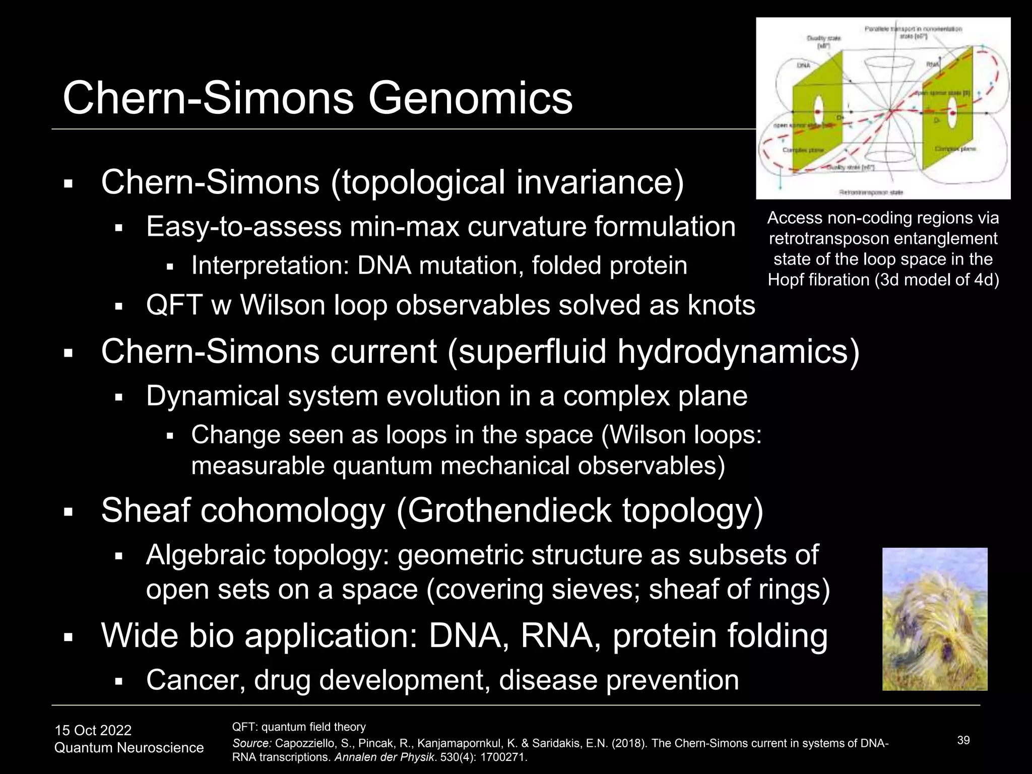 Quantum Information Science and Quantum Neuroscience.ppt