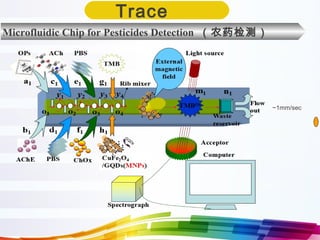 Quantum pesticide residue detection | PPT
