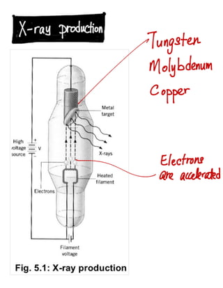 Quantum physics - X-ray | PDF | Physics | Science